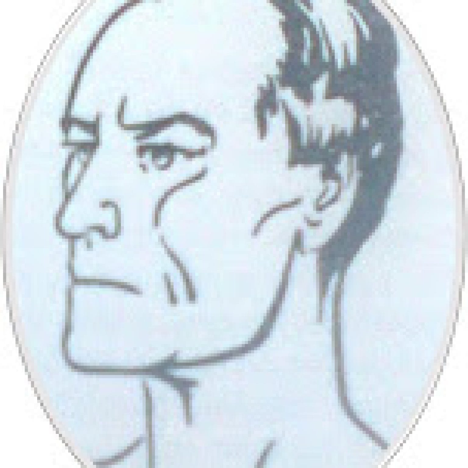 Temperamento flemático